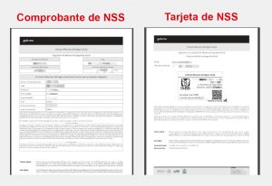 Cómo Sacar mi Número de Seguro Social por Primera Vez