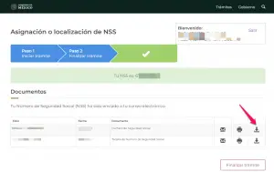 ¿Cómo Descargar Número de Seguro Social?