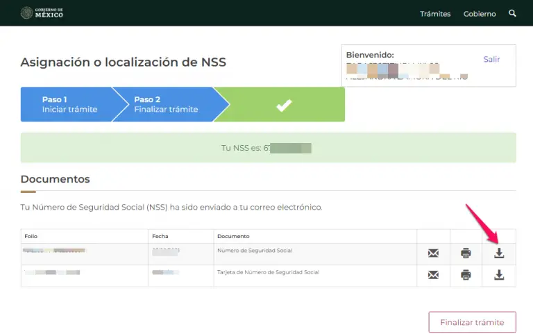 ¿Como imprimir mi Número de Seguro Social 2022?